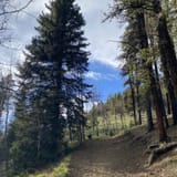 Fullerton Loop Trail, Alberta, Canada - 3,981 Reviews, Map | AllTrails