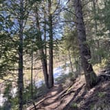 Proctor Mountain Trail, Idaho - 1,427 Reviews, Map | AllTrails