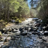 Tonsina Creek Trail, Alaska - 1,406 Reviews, Map | AllTrails