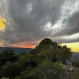 Pages Pinnacle , Queensland, Australia - 1,476 Reviews, Map | AllTrails