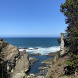 Cape Arago Loop Trail, Oregon - 382 Reviews, Map | AllTrails