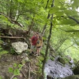 Lewis Spring Falls Trail, Virginia - 1,511 Reviews, Map | AllTrails
