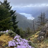 Mount Muller Trail, Washington - 190 Reviews, Map | AllTrails
