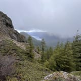 Mount Muller Trail, Washington - 190 Reviews, Map | AllTrails