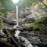 Rainbow Falls Trail, South Carolina - 2,745 Reviews, Map | AllTrails