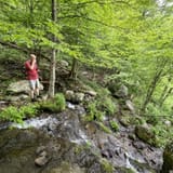 Lewis Spring Falls Trail, Virginia - 1,423 Reviews, Map | AllTrails
