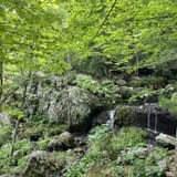 Lewis Spring Falls Trail, Virginia - 1,412 Reviews, Map | AllTrails