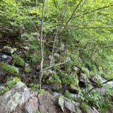 Lewis Spring Falls Trail, Virginia - 1,423 Reviews, Map | AllTrails