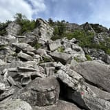 Bonticou Crag Trail, New York - 2,237 Reviews, Map | AllTrails