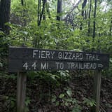 Fiery Gizzard Loop, Tennessee - 1,123 Reviews, Map | AllTrails