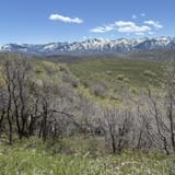 Emigration Canyon Miners Trail, Utah - 844 Reviews, Map | AllTrails