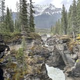 Athabasca Falls, Alberta, Canada - 2,045 Reviews, Map | AllTrails