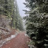 Cyclone Lookout Trail , Montana - 196 Reviews, Map | AllTrails