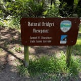 Natural Bridges Viewpoint Trail, Oregon - 717 Reviews, Map | AllTrails