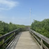 Oso Bay Wetlands Preserve, Texas - 384 Reviews, Map | AllTrails