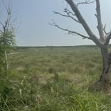 Oso Bay Wetlands Preserve, Texas - 384 Reviews, Map | AllTrails