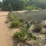 Oso Bay Wetlands Preserve, Texas - 384 Reviews, Map | AllTrails