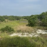 Oso Bay Wetlands Preserve, Texas - 384 Reviews, Map | AllTrails