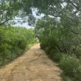 Oso Bay Wetlands Preserve, Texas - 384 Reviews, Map | AllTrails