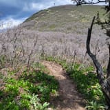 Big Beacon Mount Wire Trail, Utah - 1,579 Reviews, Map | AllTrails