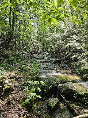 Best Walking Trails in Double Springs | AllTrails