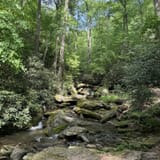Kelly's Run Loop Trail, Pennsylvania - 3,458 Reviews, Map | AllTrails