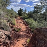 Mescal Mountain Trail, Arizona - 642 Reviews, Map | AllTrails