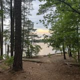 Harris Lake Peninsula Trail, North Carolina - 1,993 Reviews, Map ...