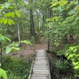 Harris Lake Peninsula Trail, North Carolina - 1,993 Reviews, Map ...