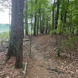 Harris Lake Peninsula Trail, North Carolina - 1,993 Reviews, Map ...