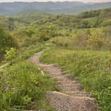 Max Patch Loop, North Carolina - 2,204 Reviews, Map | AllTrails