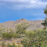 Coon Bluff Trail, Arizona - 775 Reviews, Map | AllTrails