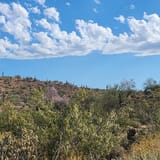 Coon Bluff Trail, Arizona - 775 Reviews, Map | AllTrails
