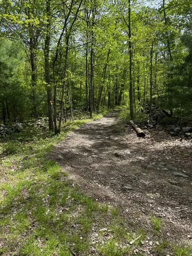 Best Camping Trails in Douglas | AllTrails