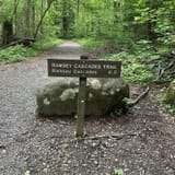 Ramsey Cascades Trail, Tennessee - 2,403 Reviews, Map | AllTrails