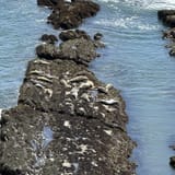 Point Arena-Stornetta Unit of the California Coastal National Monument ...