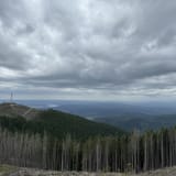 Cable Line Trail to West Tiger #3, Washington - 2,284 Reviews, Map ...