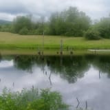 Leaser Lake Trail, Pennsylvania - 666 Reviews, Map | AllTrails