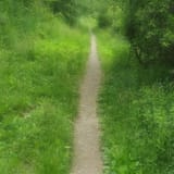 Leaser Lake Trail, Pennsylvania - 666 Reviews, Map | AllTrails