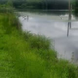 Leaser Lake Trail, Pennsylvania - 666 Reviews, Map | AllTrails