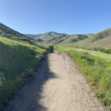 Adelmann Mine, Idaho - 1,366 Reviews, Map | AllTrails