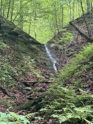 Best Moderate Trails in Morgan Monroe State Forest | AllTrails