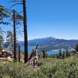 Grays Peak Trail, California - 1,237 Reviews, Map | AllTrails