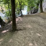 Raven Rock Loop Trail, North Carolina - 2,627 Reviews, Map | AllTrails