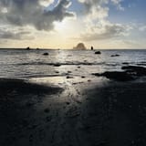 Cape Alava Trail, Washington - 556 Reviews, Map | AllTrails