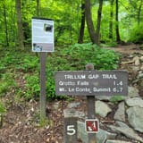 Grotto Falls via Trillium Gap Trail, Tennessee - 6,401 Reviews, Map ...