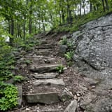 Sharp Top Trail, Virginia - 2,843 Reviews, Map | AllTrails