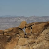 Grapevine Canyon Trail, Nevada - 532 Reviews, Map | AllTrails