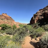 Red Reef Trail, Utah - 2,339 Reviews, Map | AllTrails