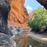 Red Reef Trail, Utah - 2,381 Reviews, Map | AllTrails